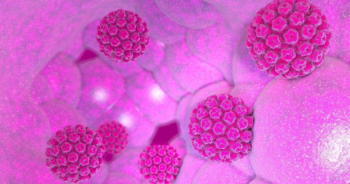 Insights - Yorkshire Cancer Research