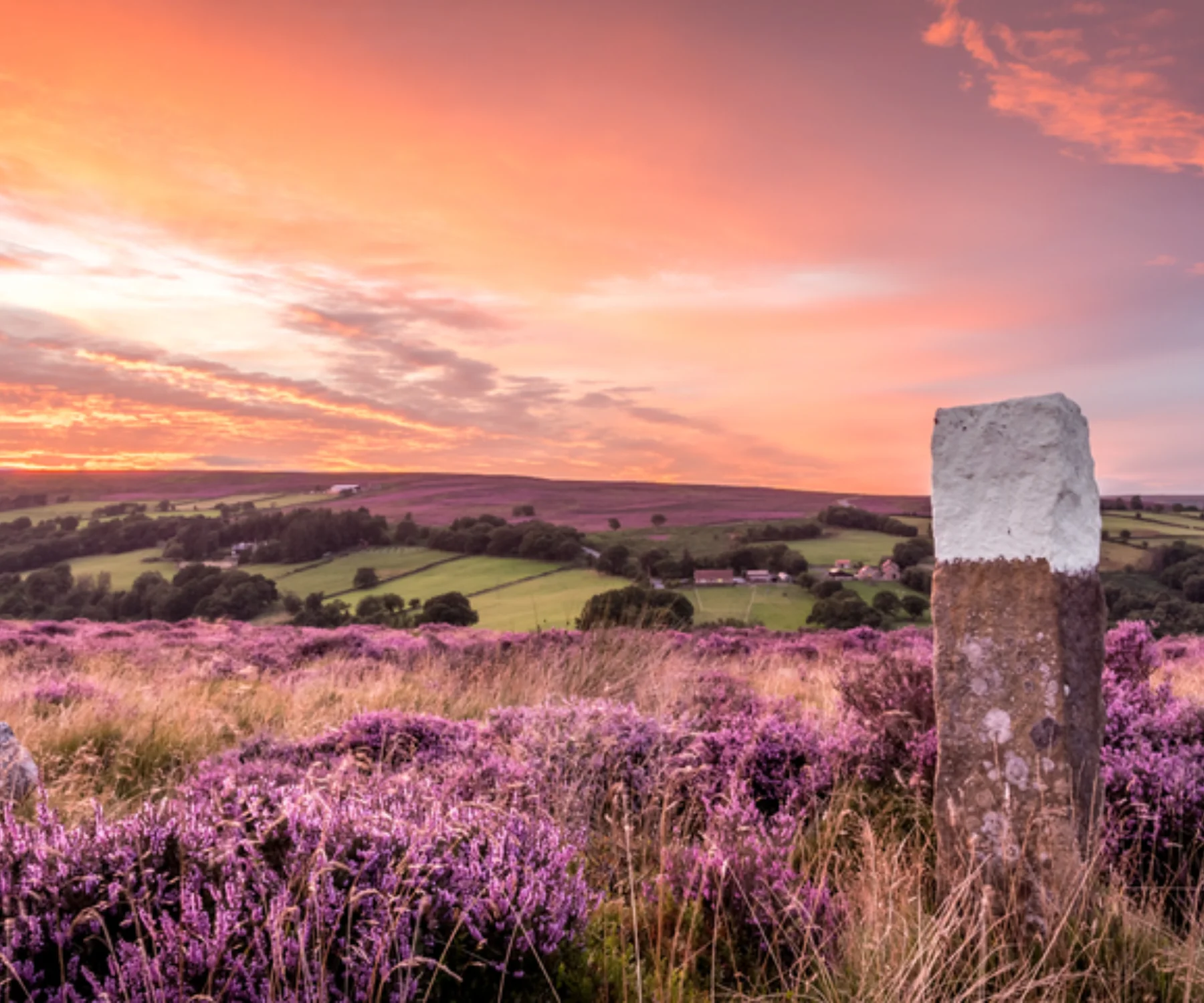 Take the Putting Yorkshire on the Map quiz! - Yorkshire Cancer Research